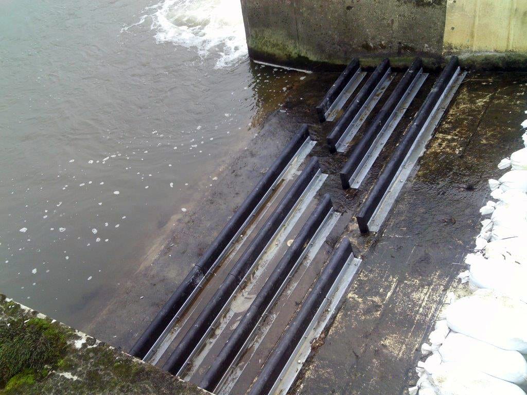 New fish & eel passes help more species to migrate upstream | Envirotec