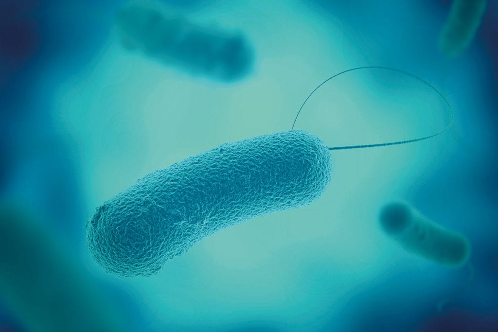 Stay on top of Legionella, says testing firm | Envirotec