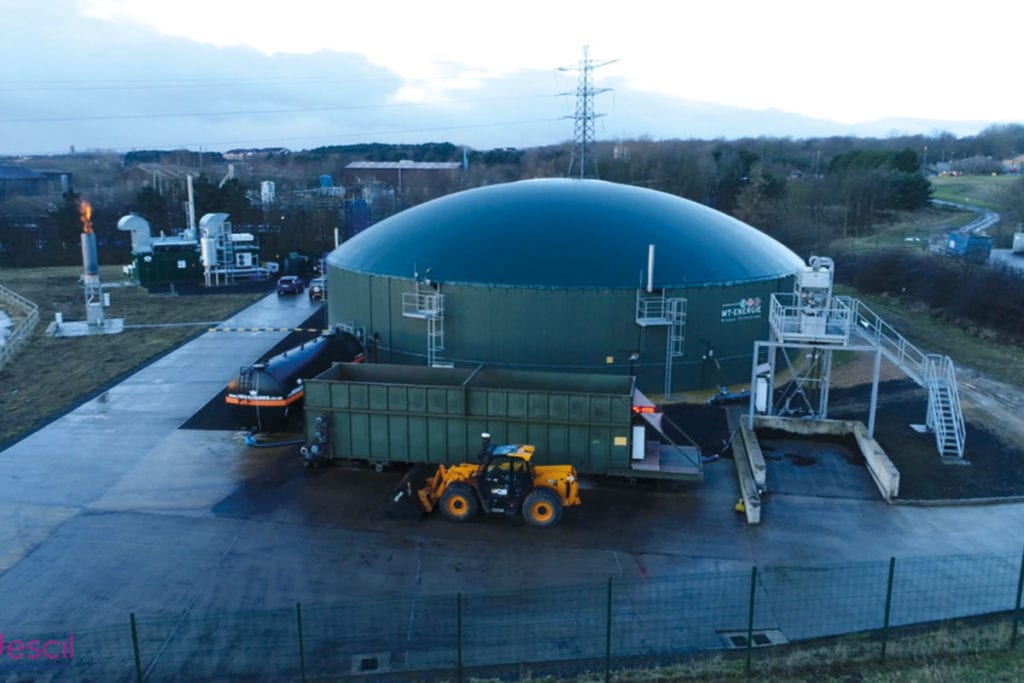 Biological support sees plant output double | Envirotec