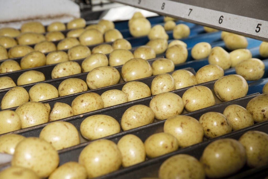 Pong appeasing potato processing | Envirotec