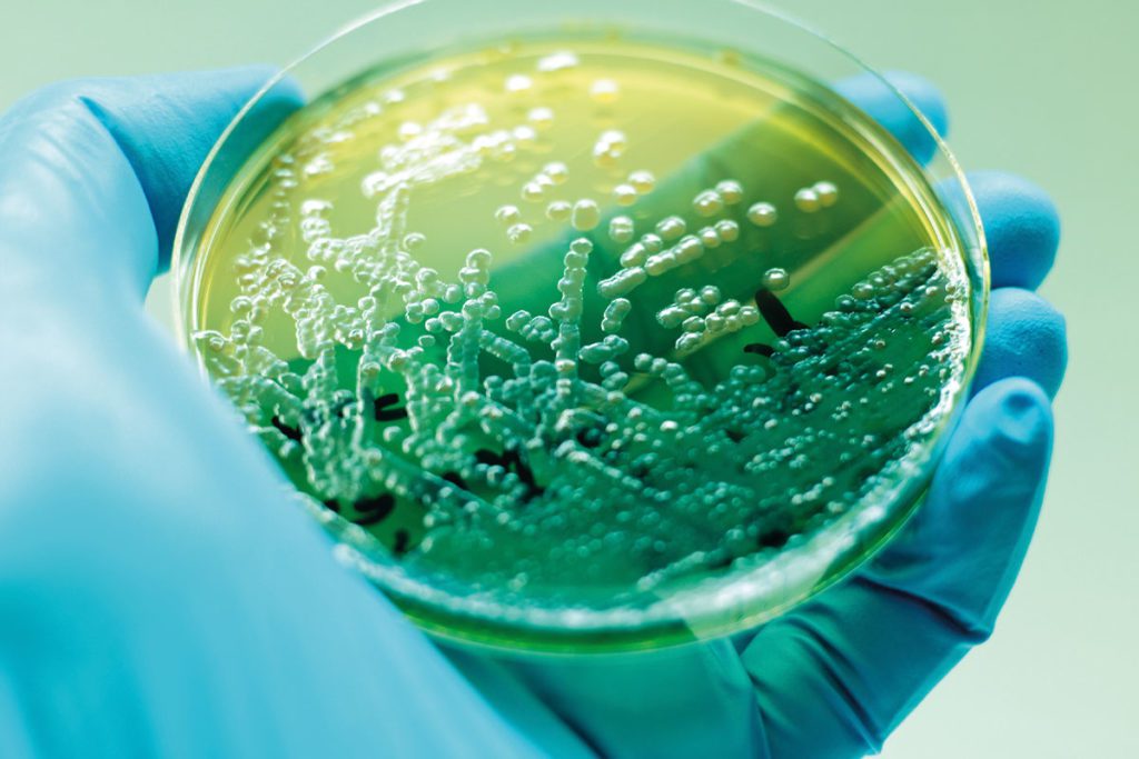 Using microbes to remove microplastics | Envirotec