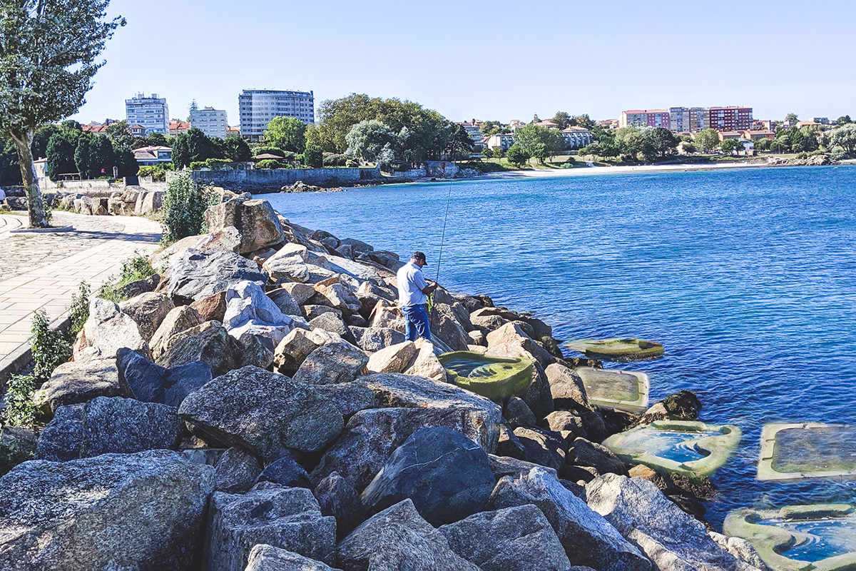 Marine-life-friendly infrastructure wins award under European ...