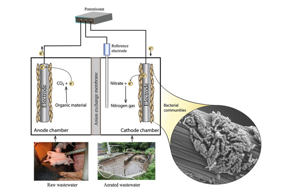 A load of pig manure? | Envirotec