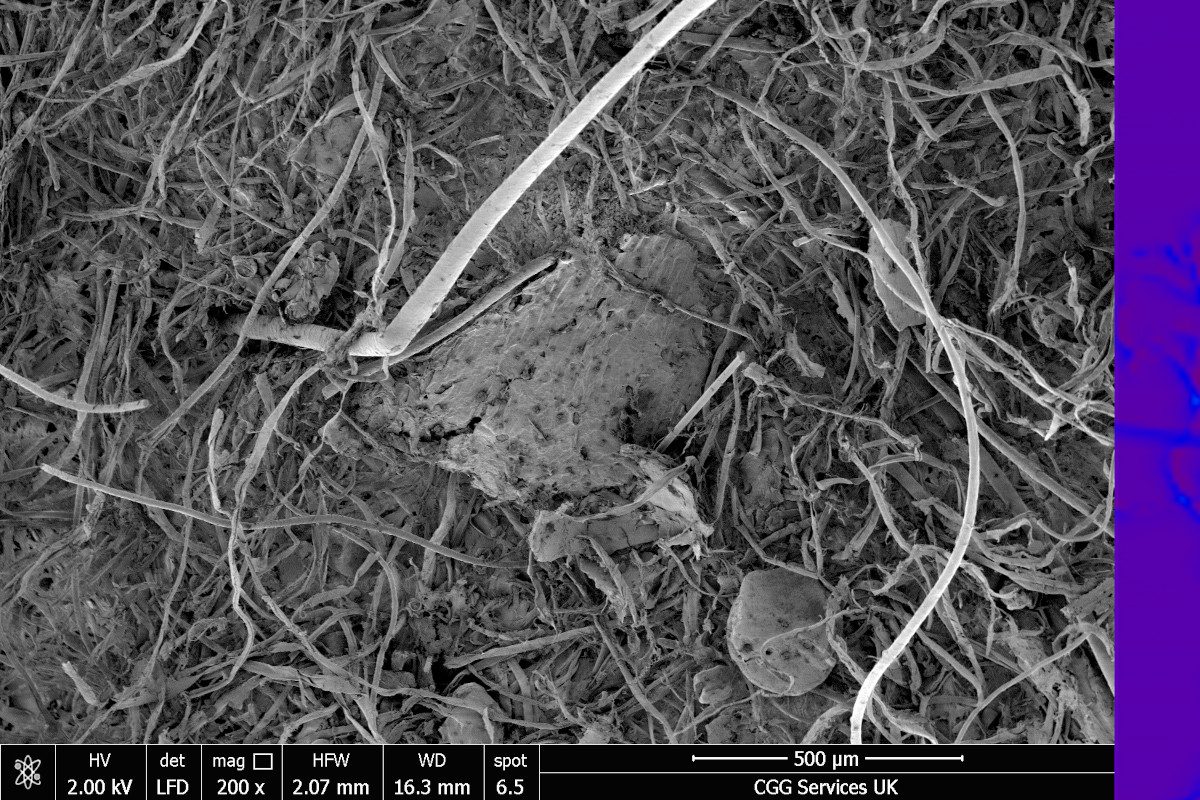 Micropollutants under the (electron) microscope: Project reveals ...