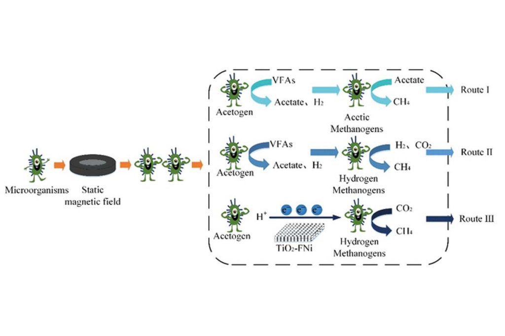 Magnetic field boosts biogas production | Envirotec
