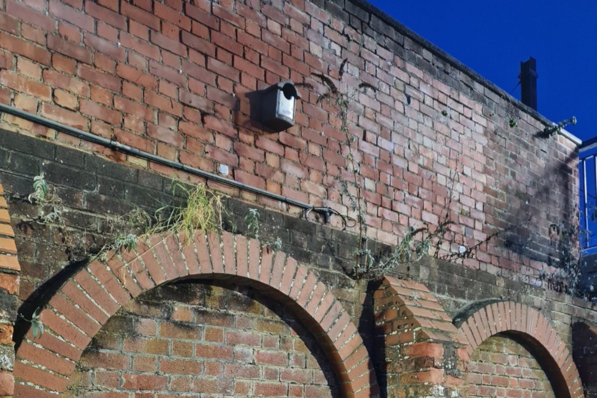Bird and bat boxes installed at railway stations in northern England ...